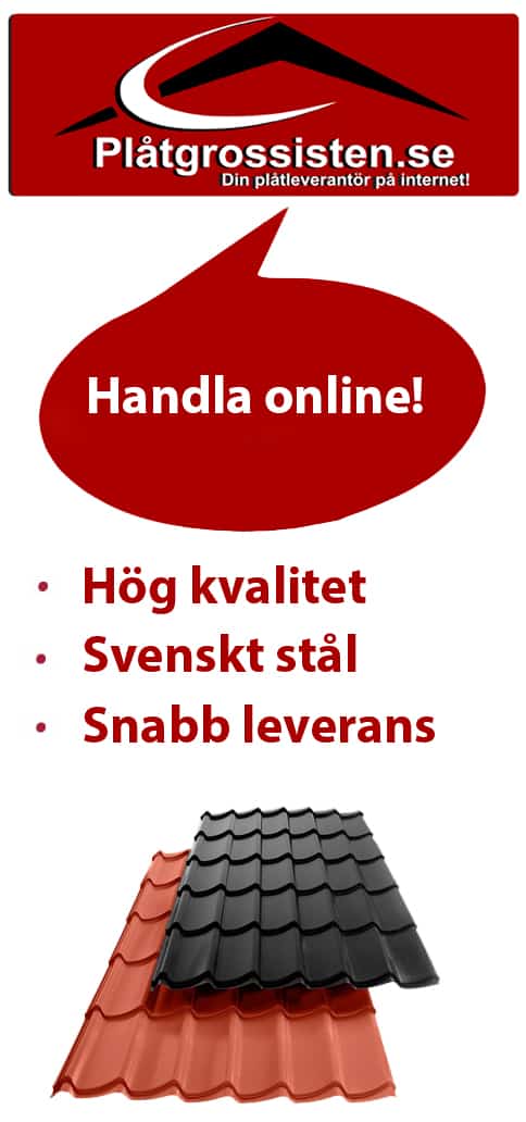 Världens största tal - Googolplexian eller Googoltriplex? - Företagstidning